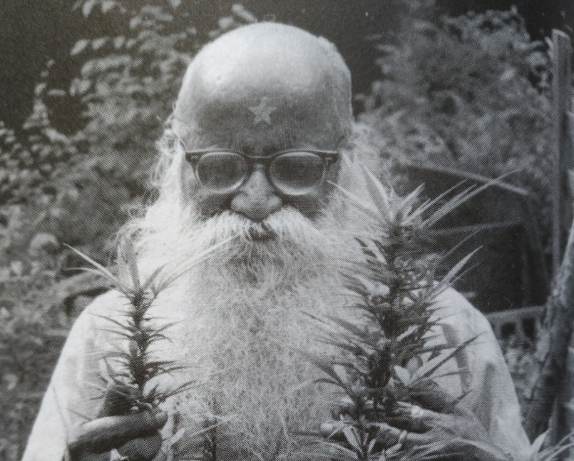 A Deep Dive into Cannabis Landraces with The Real Seed Company | The ...