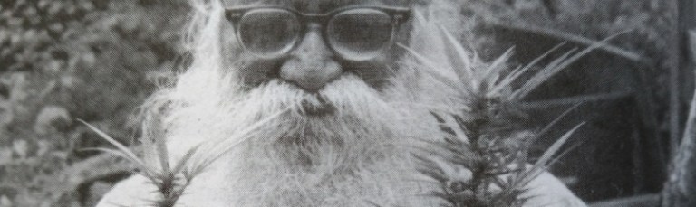 The Real Seed Company: The Honest Online Source for Cannabis Landraces ...